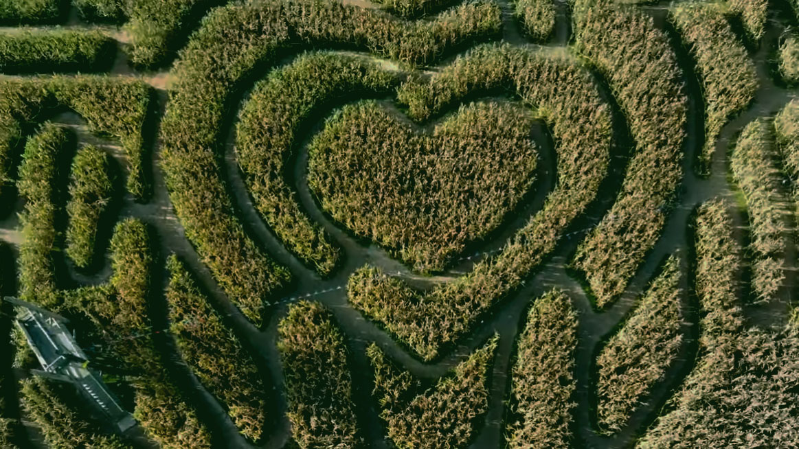 Home - Buford Corn Maze