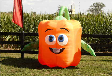 Spookley the Square Pumpkin - Buford Corn Maze