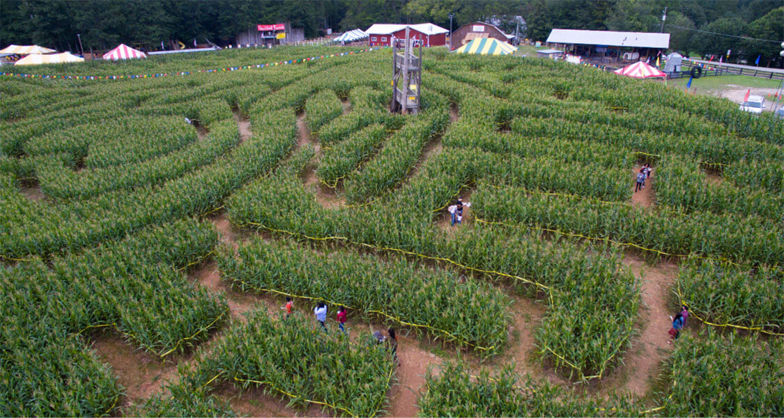 Home - Buford Corn Maze