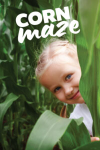 Corn Maze in Buford, GA - Buford Corn Maze